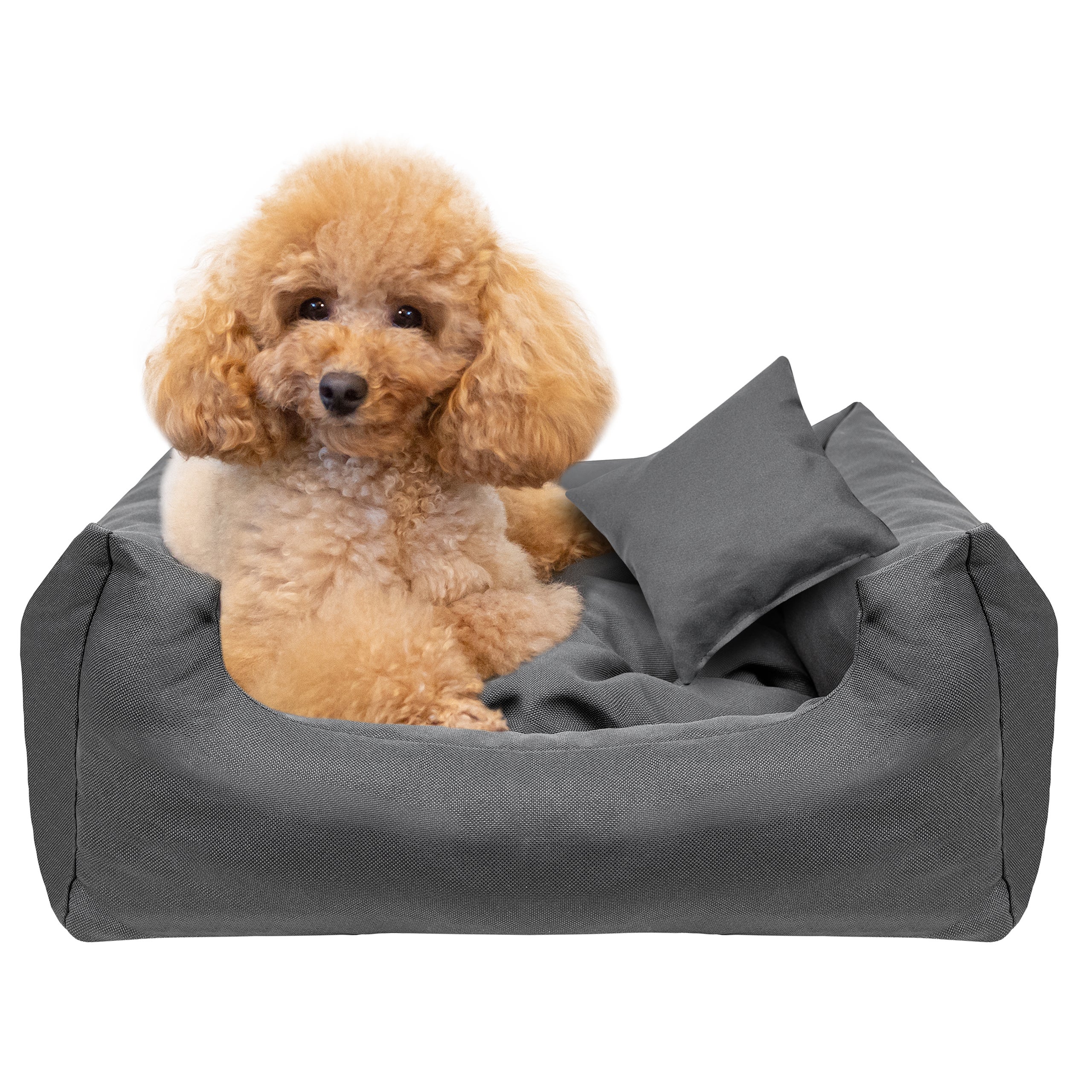 Creative Pets Coussin Chien 55 x 45 x 19 cm Gris | Panier Chien Lavable ...