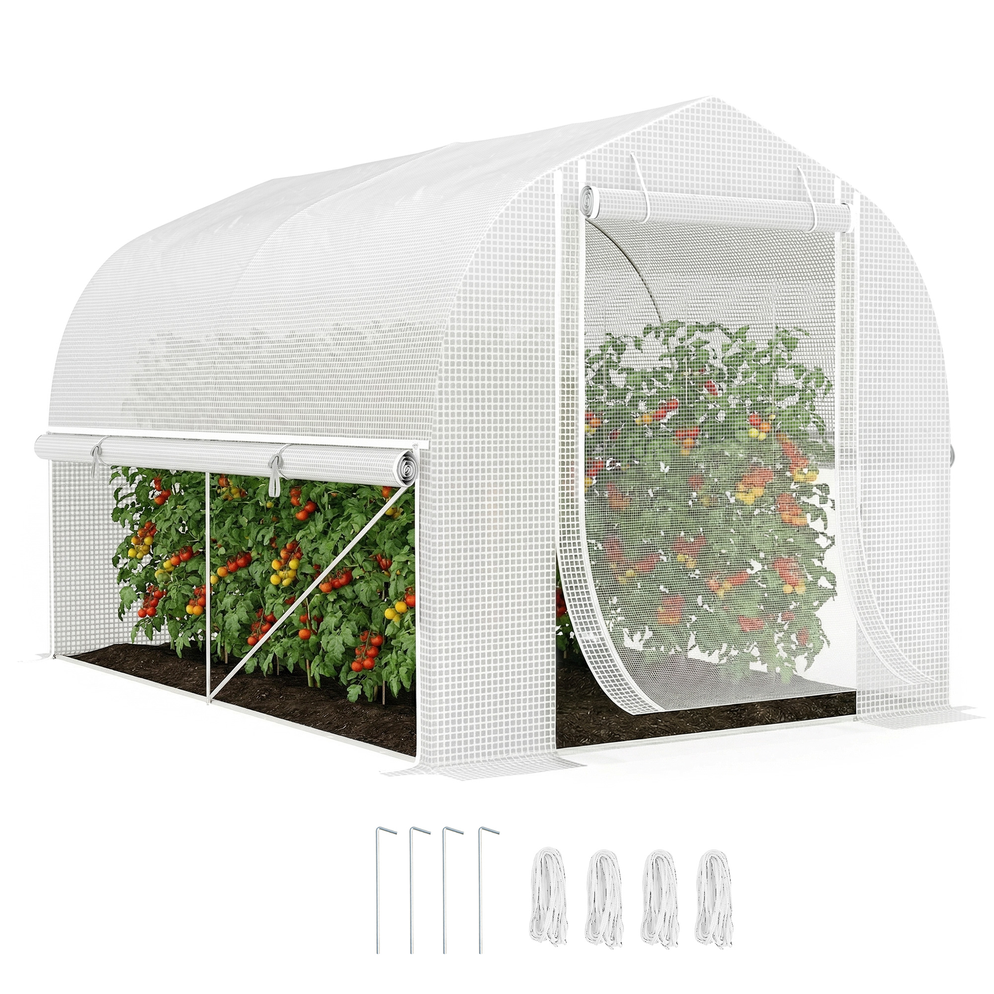 3 x 2 x 2 m polytunnel greenhouse with roll-up side walls, UV-resistant ...