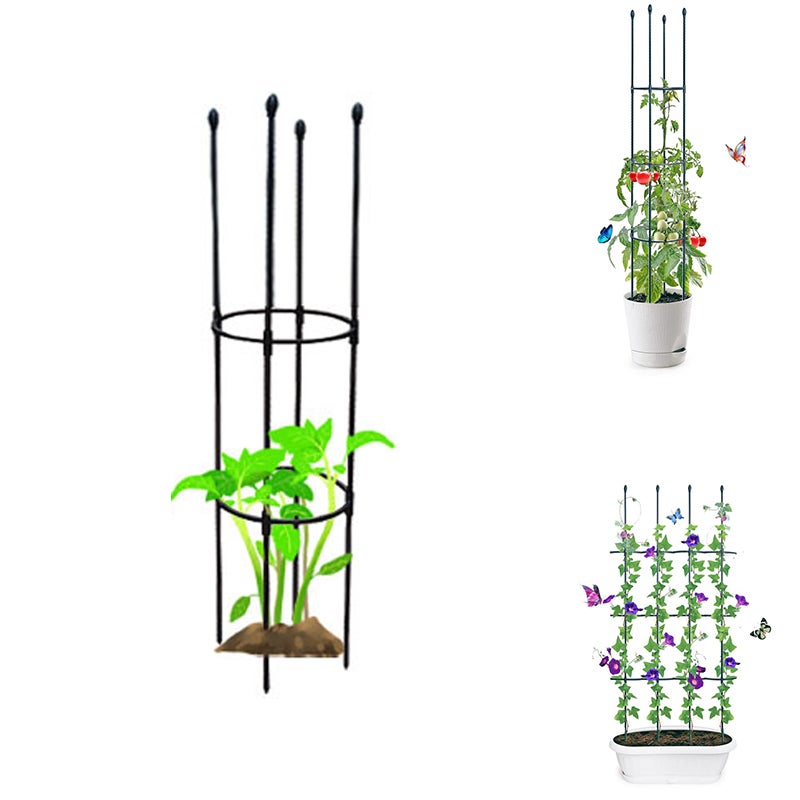 Support pour plantes grimpantes en métal 1 pièce, poteau de support ...
