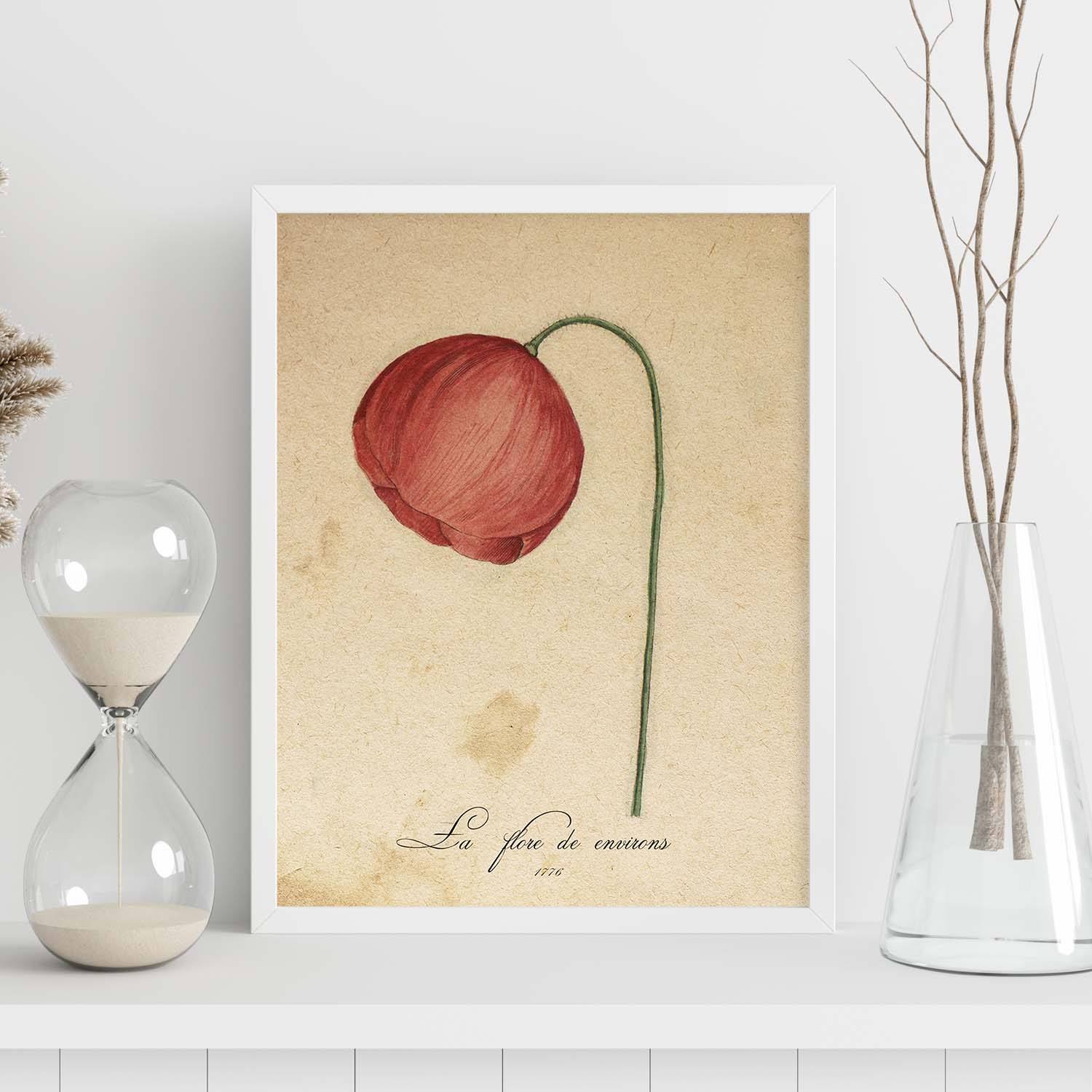 Affiche De Fleurs Vintage. Lamina La Flore Des Virons 2 Avec Conception ...