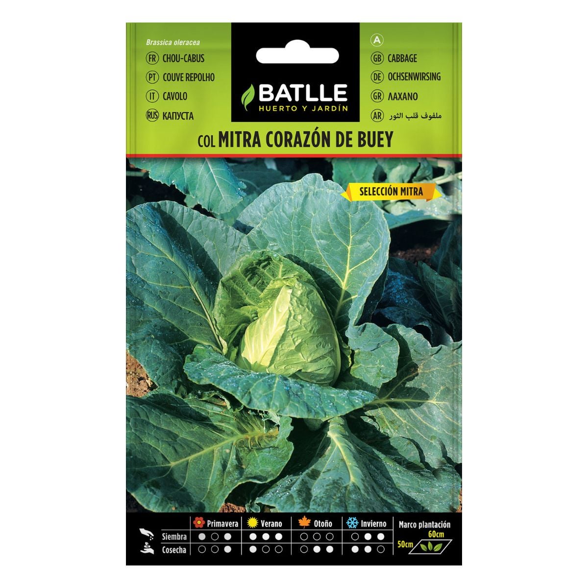 Semillas de Col repollo Corazón de buey | Leroy Merlin