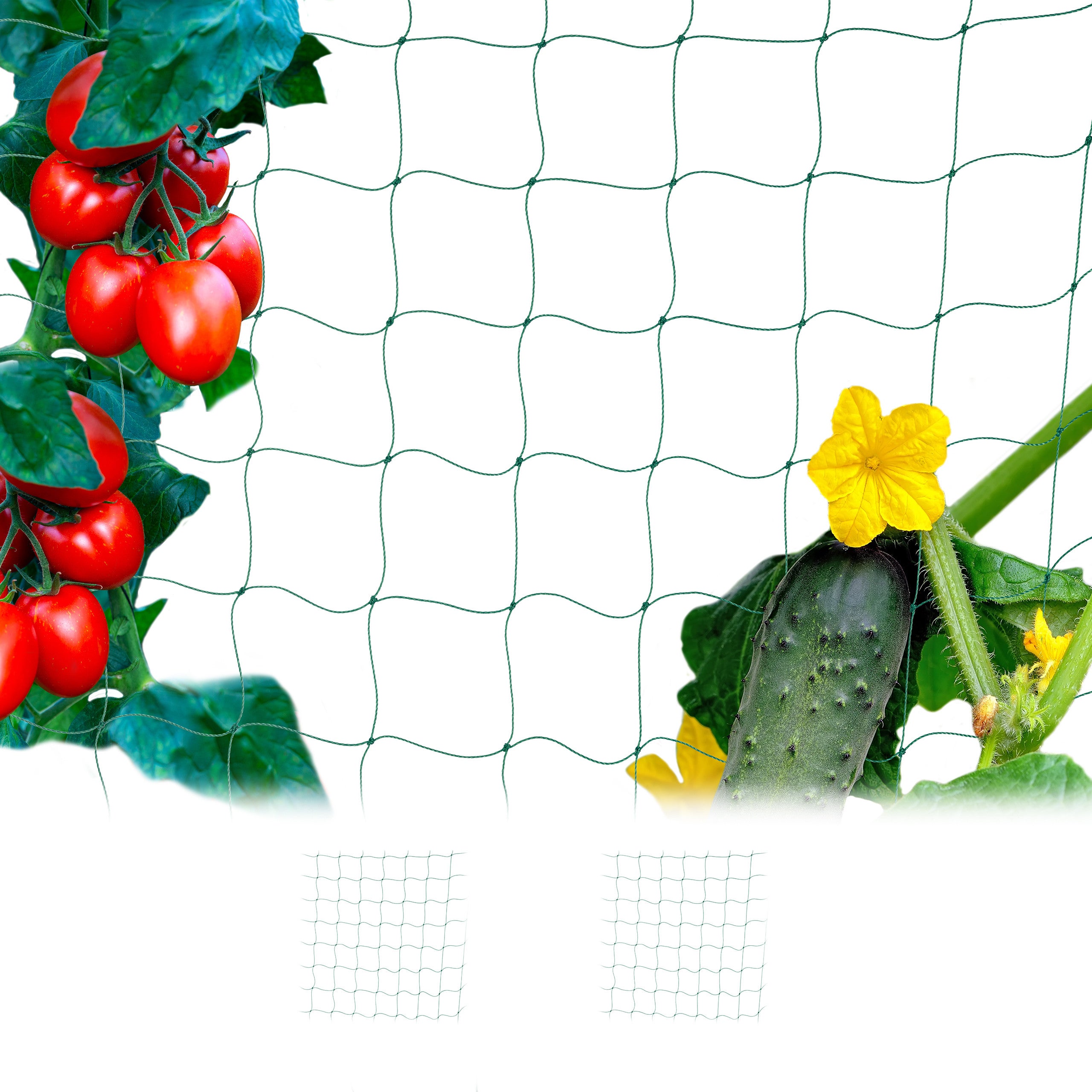 2x Rete per Piante Rampicanti, 180x360 cm, Sostegno per Pomodori e ...