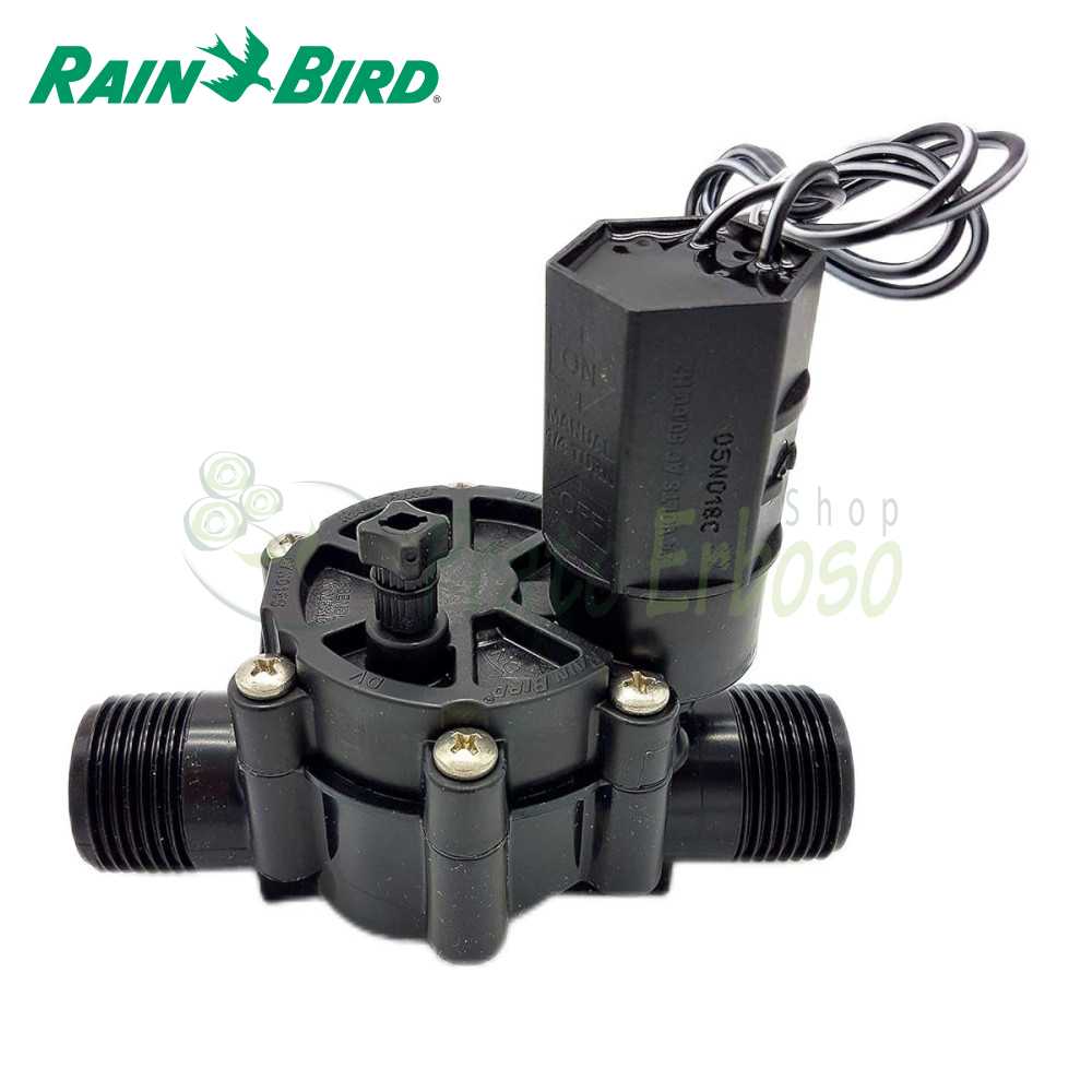 Rain Bird 100-DV-MM - Elettrovalvola da 1" | Leroy Merlin