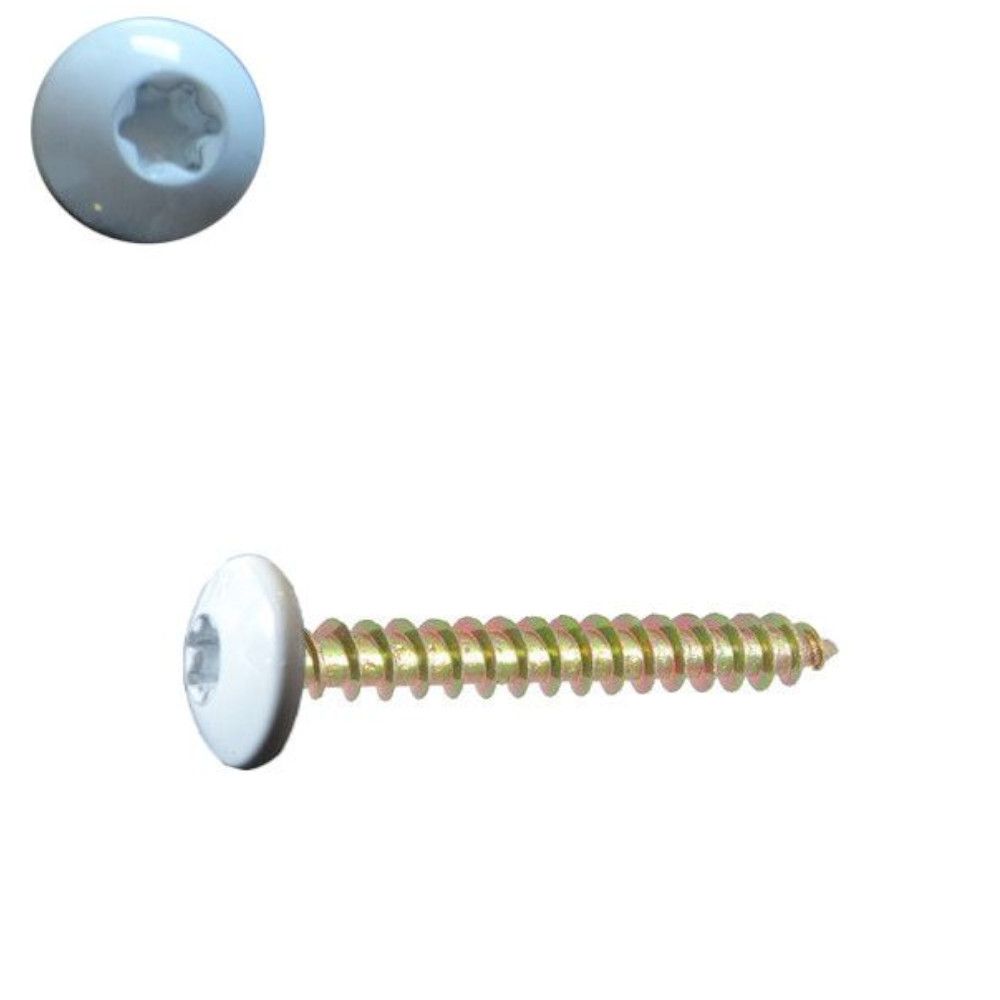 Vis penture 6x50 mm blanc pur RAL 9010 Acier Zingué Bichormaté par 50 ...