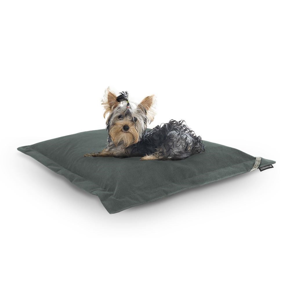 Coussin pour Chiens ou Chats, Aquaclean et Anti-taches Couleur Gris M ...