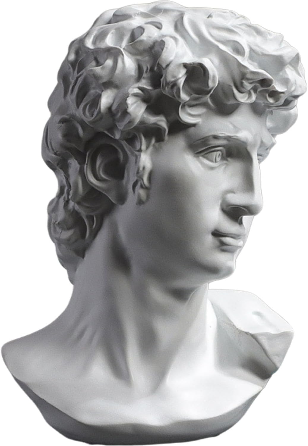 Buste de David en Polyrésine, Statue Décorative pour Bibliothèque ...