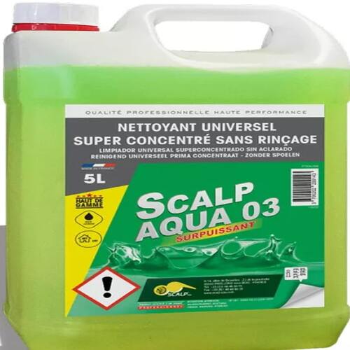 SCALP AQUA 03 lessive du peintre universelle 5 litres | Leroy Merlin