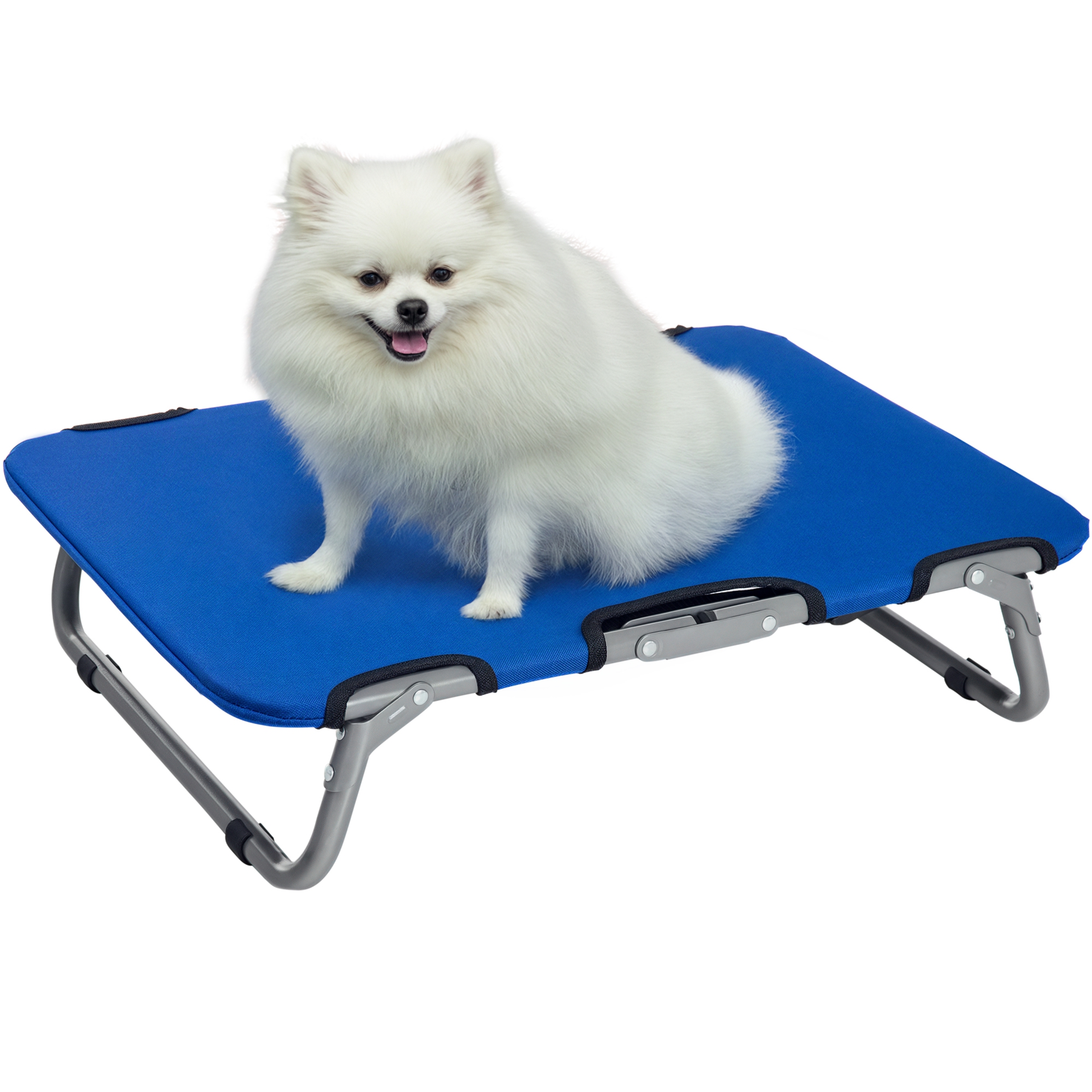 Lit pliant surélevé pour petits chiens,utilisable en intérieur et en ...