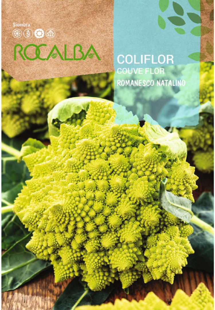 ROCALBA COLIFLOR ROMANESCO NATALINO 8g, Pack 5 sobres | Leroy Merlin