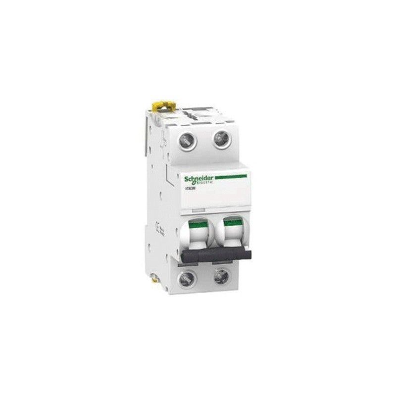 Disjoncteur modulaire Acti9 - iC60N - 2P - 50A - courbe C | Bricoman
