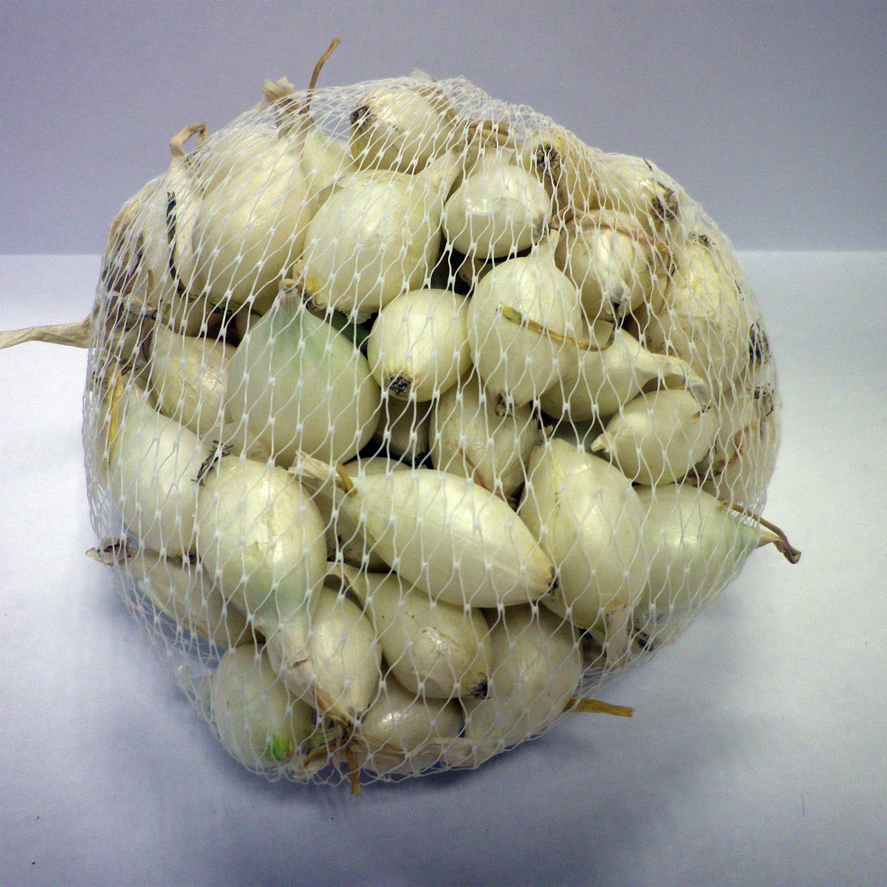 Oignon 'Snowball' Pièce calibre 14/21 mm, Sac de 250g | Leroy Merlin