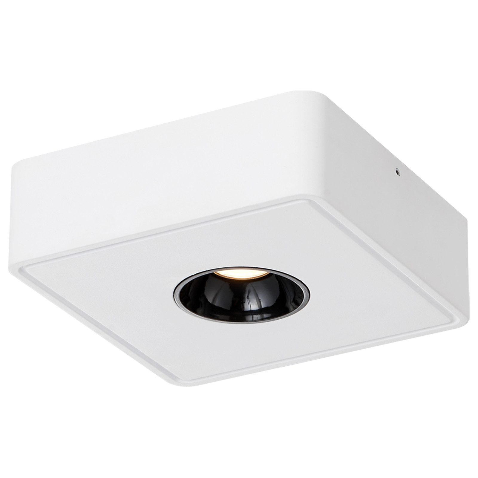 NETTLIFE Foco LED Blanco 7W Blanco Cálido Foco de Techo Moderno Foco ...