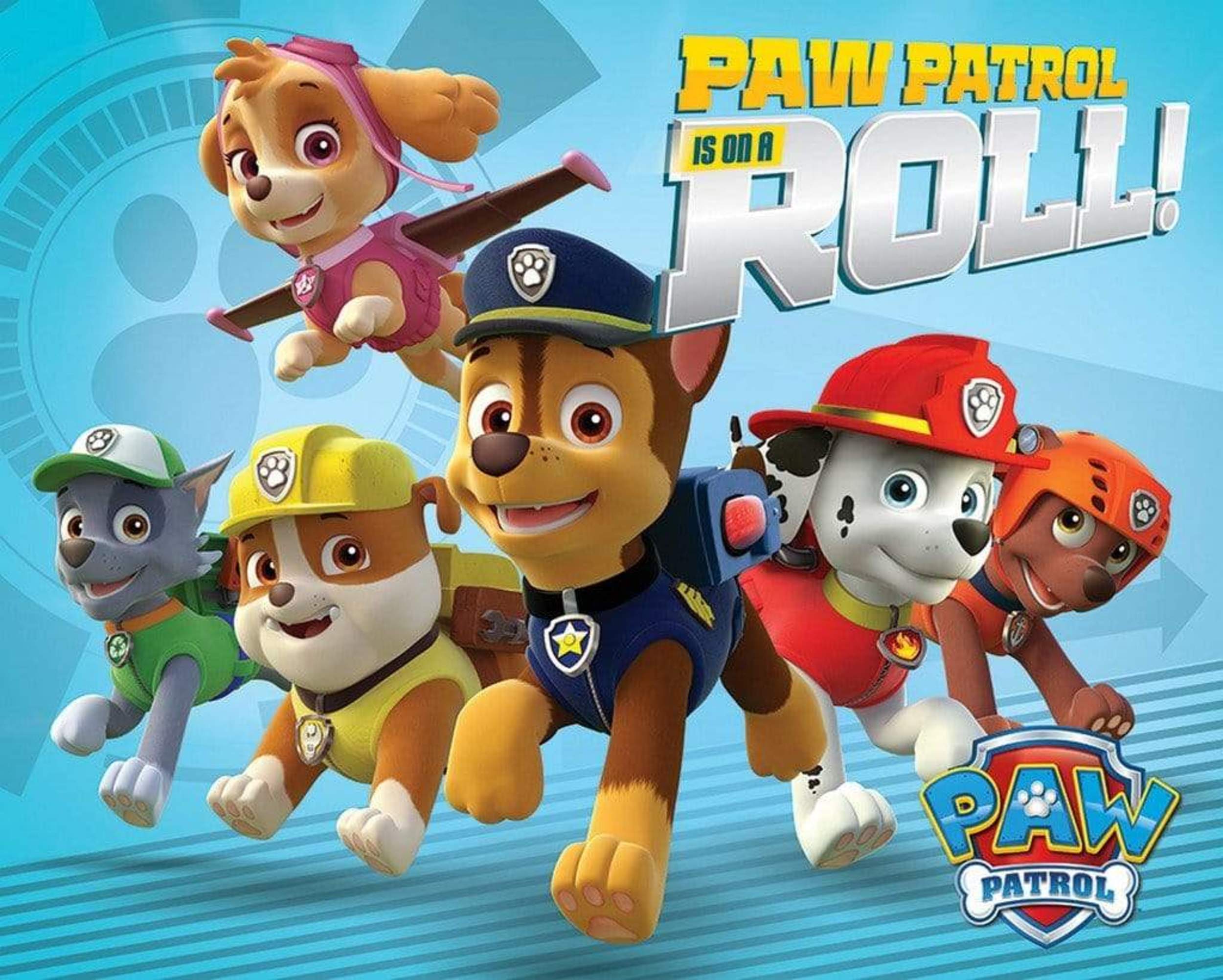 Poster Paw Patrol - On a Roll 50x40cm | Leroy Merlin