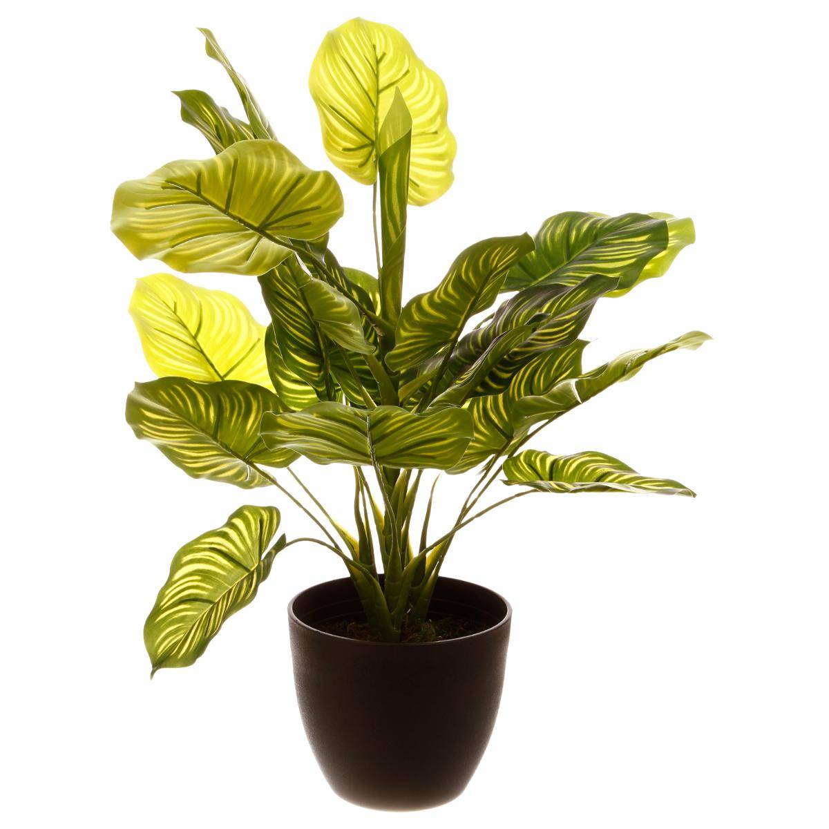 Atmosphera - Planta artificial - maceta de cemento - H45 cm - Modelo 1 | Leroy Merlin