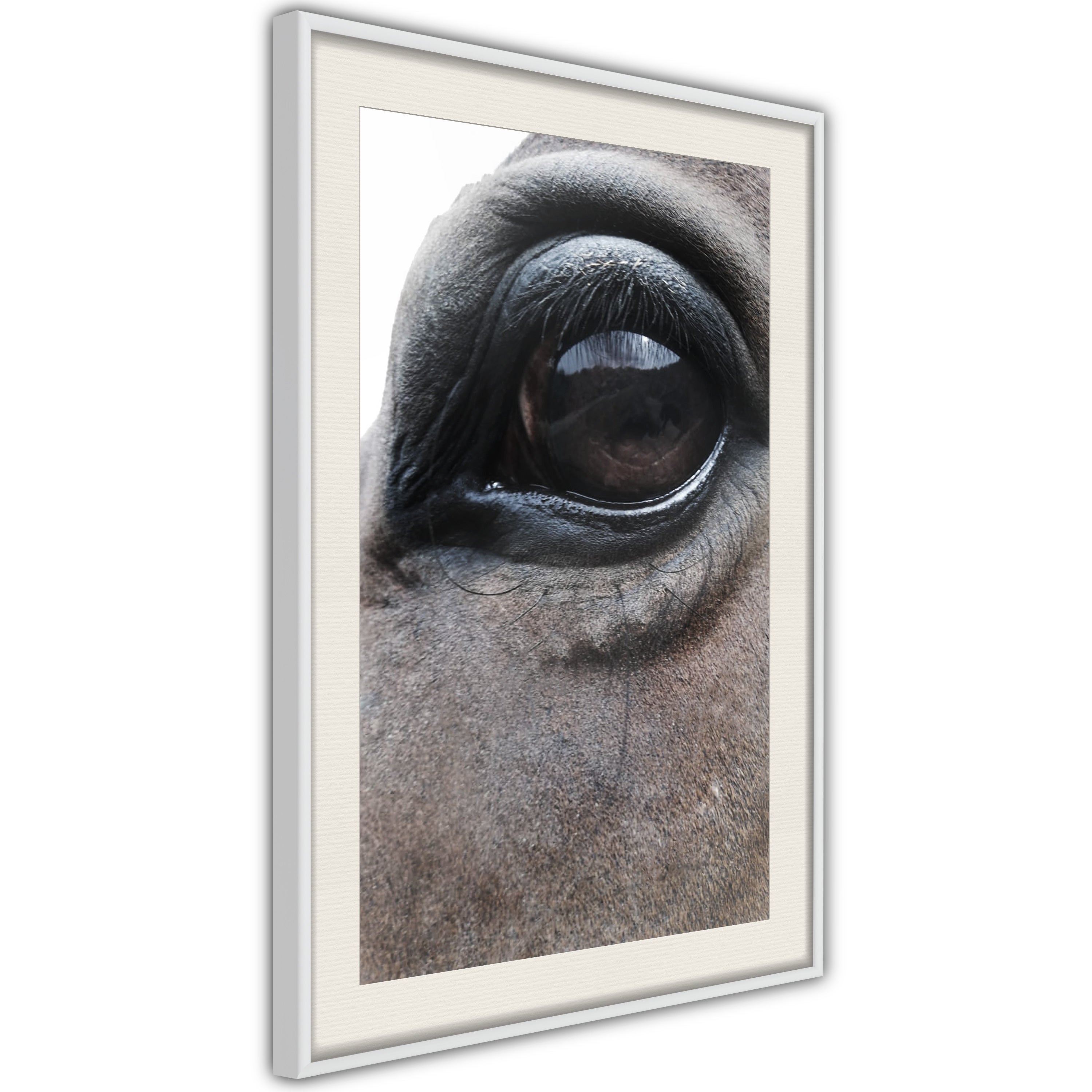 Poster et affiche - Gentle Eyes 40x60 cm | Leroy Merlin