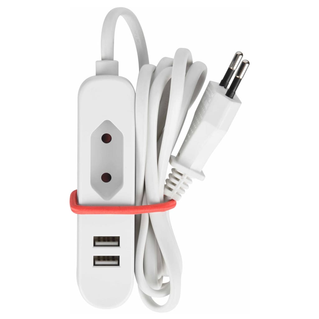 Prise Euro 1 voie avec 2 ports USB Blanc Perel | Leroy Merlin
