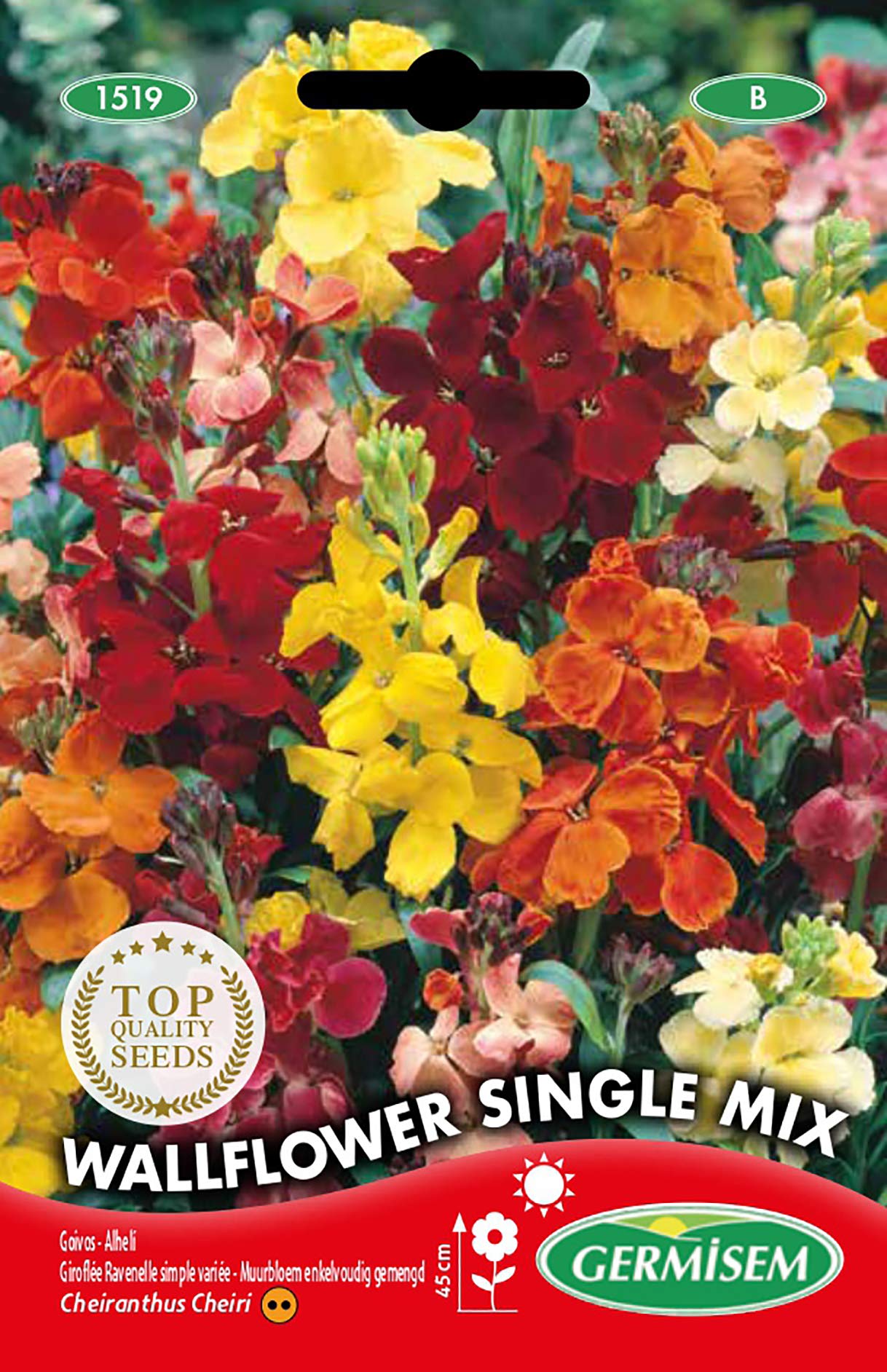 Germisem Wallflower Single Mix Semi 0.75 g | Leroy Merlin