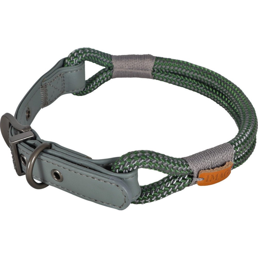 Zolux -Collier IMAO 40 cm x 6 mm Hyde park kaki pour chien | Leroy Merlin