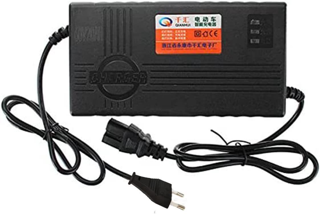 60V 20Ah Chargeur De Batterie pour s Vélos Électriques E-Bike | Leroy Merlin
