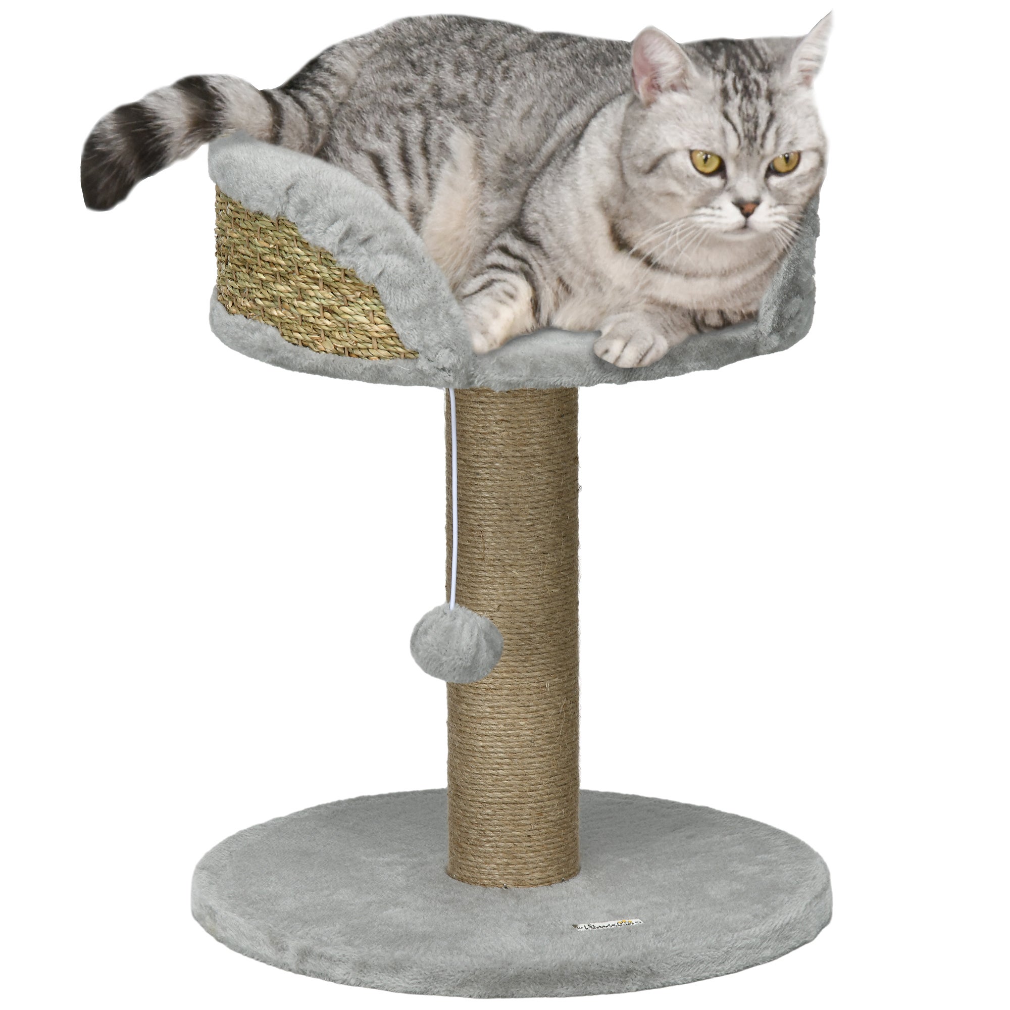 Arbre à chat arbre à grimper grattoir design jeu pompon suspendu ...