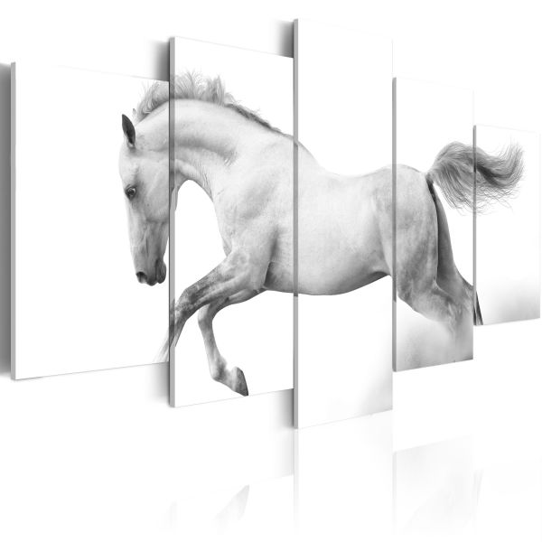 Tableau Cheval - Passion et liberté 100x50 cm | Leroy Merlin