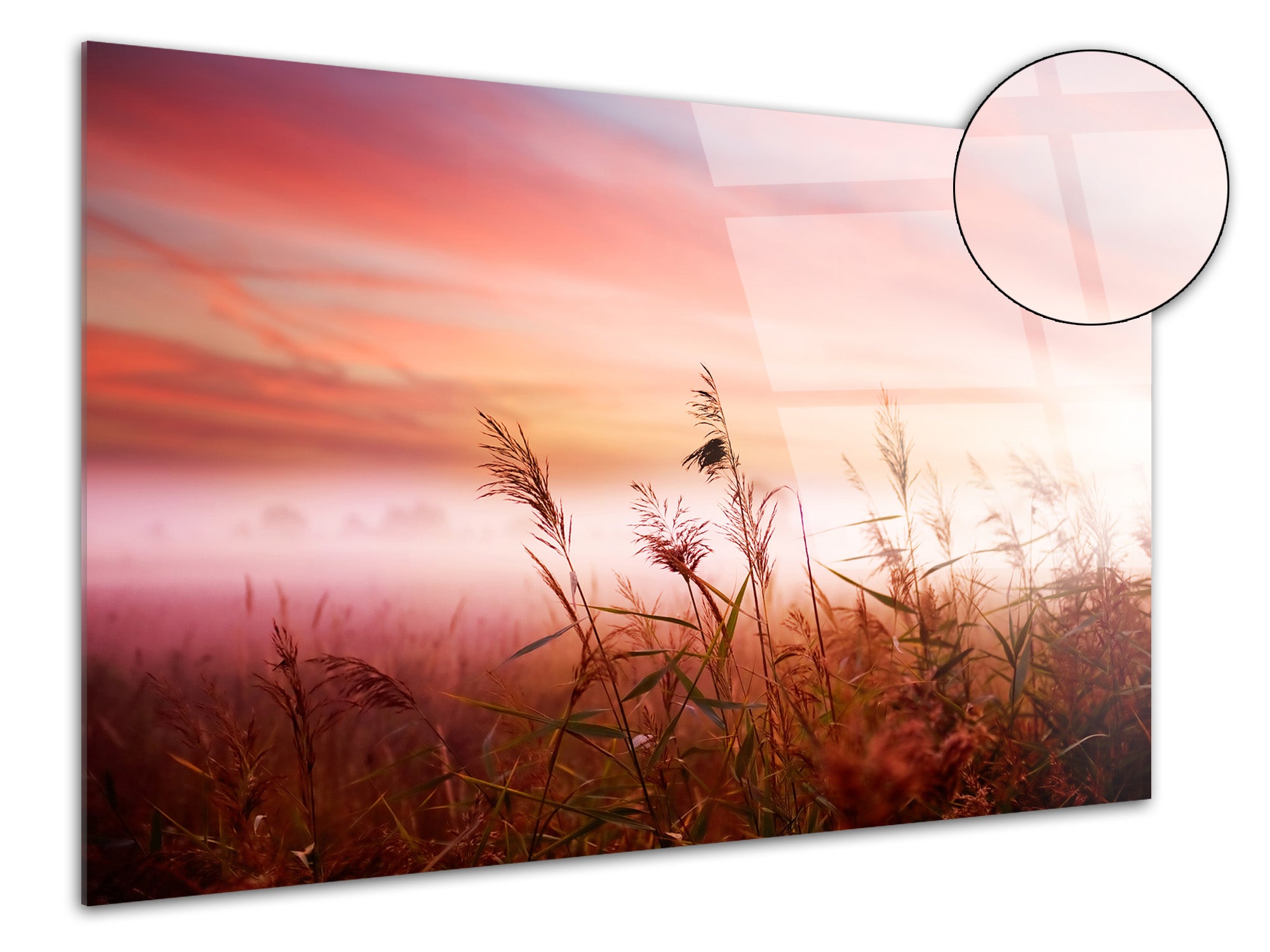 Tableau plexiglas photo PAYSAGE BRUMEUX | Leroy Merlin