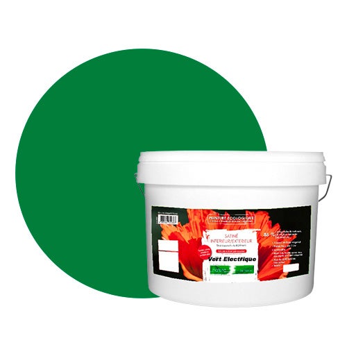 Vert Electrique Peinture interieur exterieur aspect satin Natura Vert ...