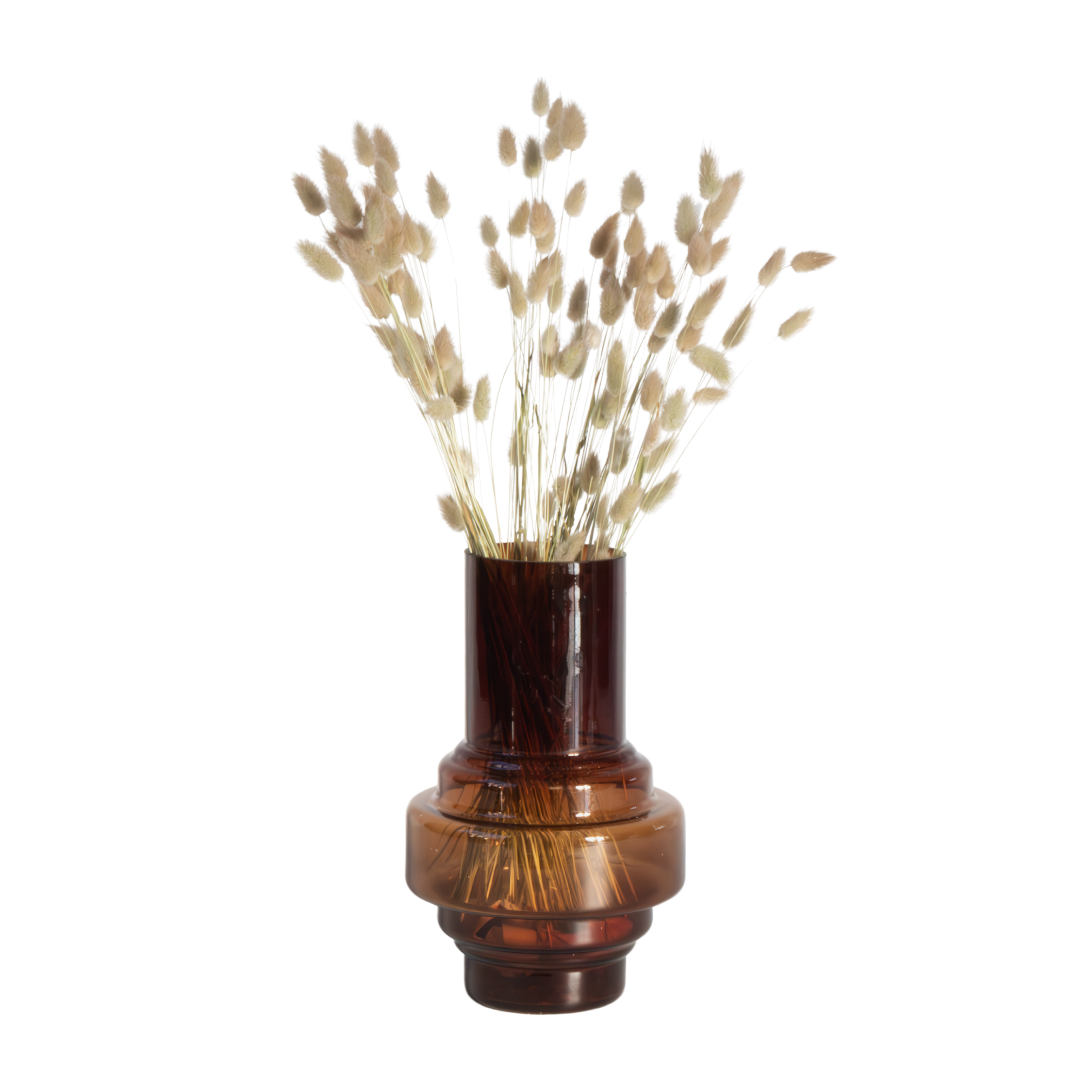 Fleurs séchées - Bouquet 'Lagurus Bunny Ears' | Leroy Merlin