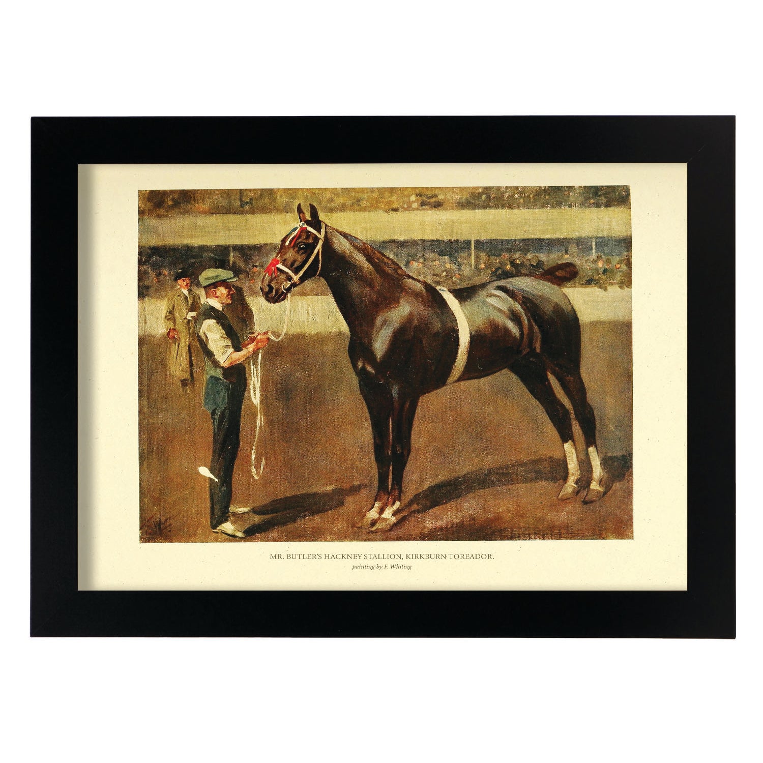 Affiche De Hackney Stallion Inspiré Par D'animaux Vintage Cadres ...