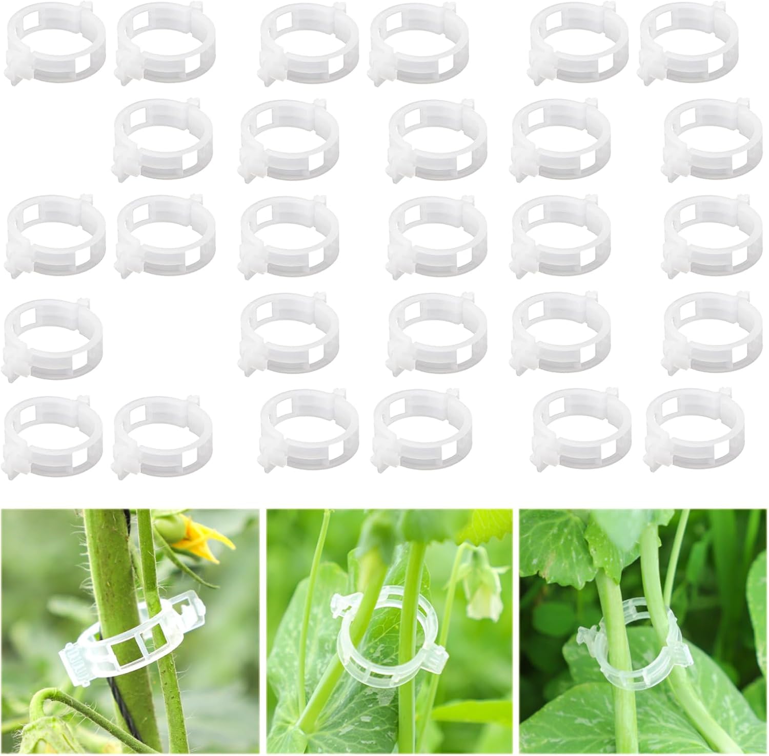 Pinces de greffage en plastique, pinces de croissance de greffage, pinces de fixation de fleurs ...