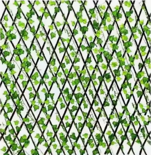 NAKLOE - Enredadera regulable - (Alto 70cm) - Enredadera con valla ...