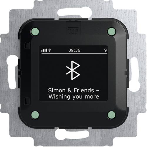 Busch-Jaeger 8217 U-101 Bush Radio BTconnect DAB+ with Bluetooth ...