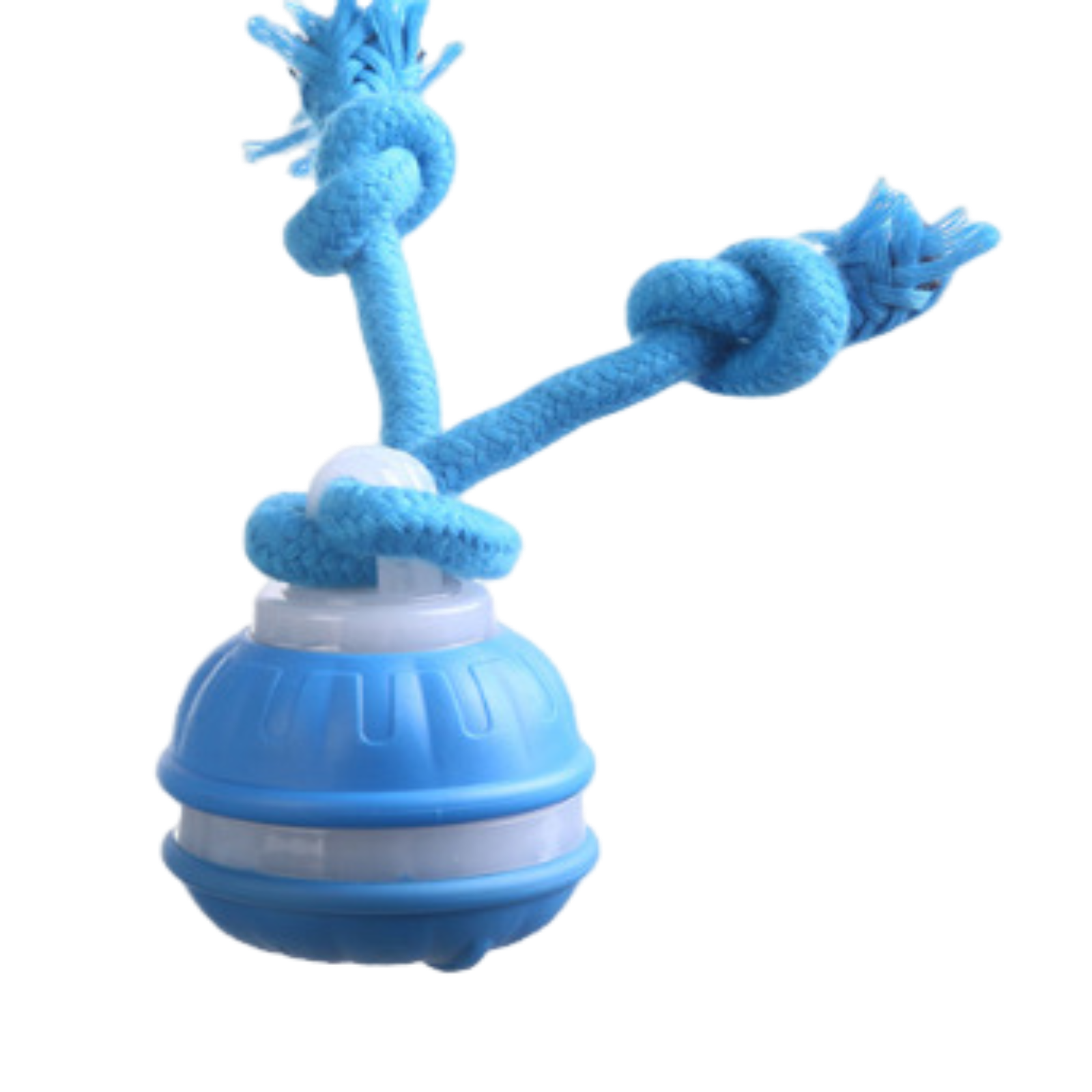 Balle interactive automatique, pour chien, petit gabarit, mouvement ...