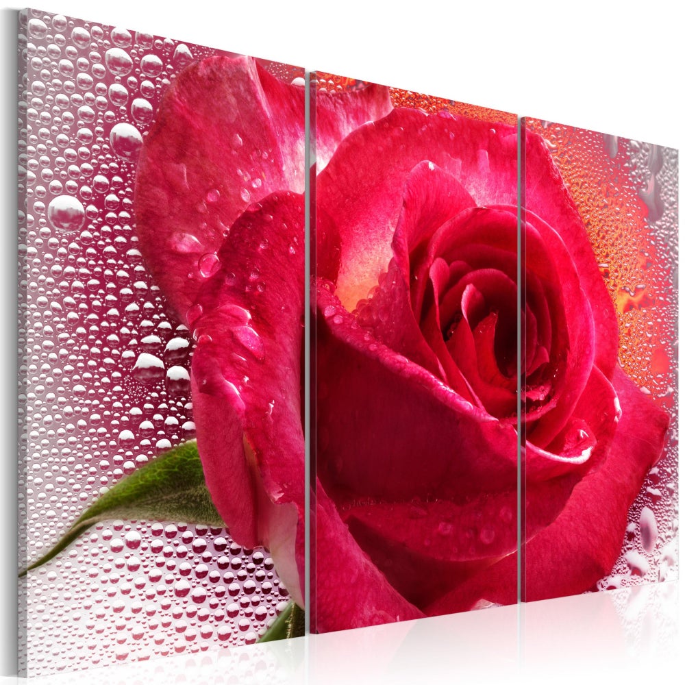 Tableau - Lady Rose - triptych 90x60 Artgeist cm | Leroy Merlin