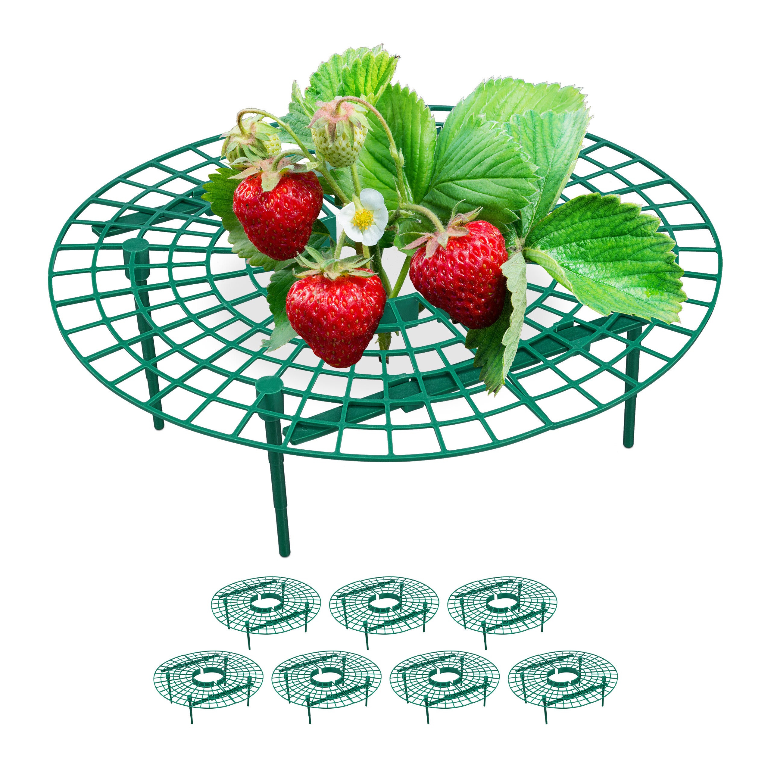 Relaxdays Support pour fraises, 8 pièces, protection contre les limaces ...