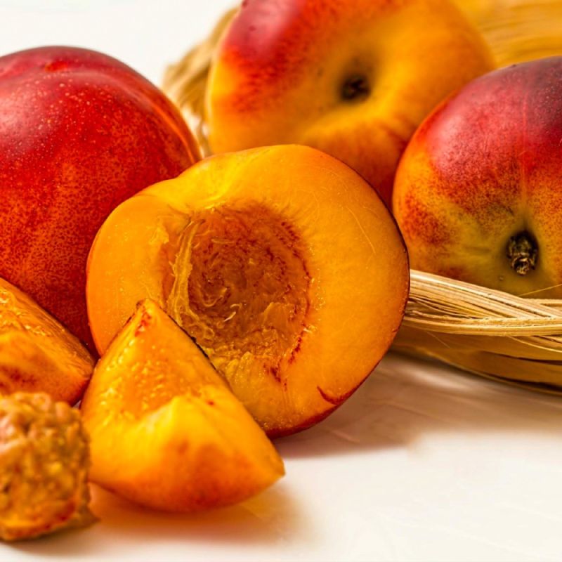 Nectarinier 'Nectared 4' (Prunus persica 'Nectared 4') - Scion de 150cm ...