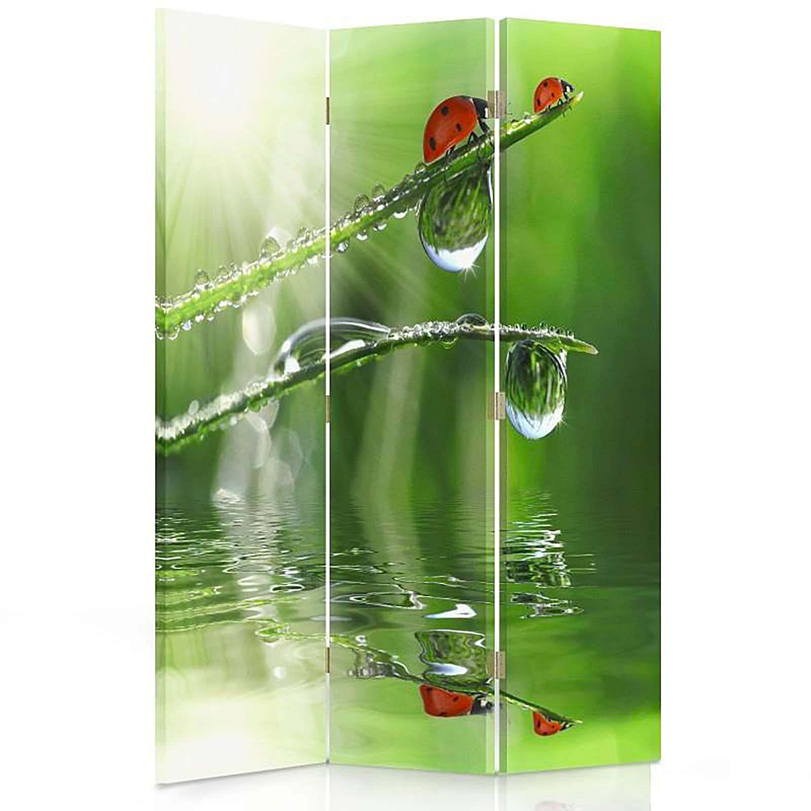 Paravent Design Coccinelles et Rosée sur Herbe Verte | Leroy Merlin