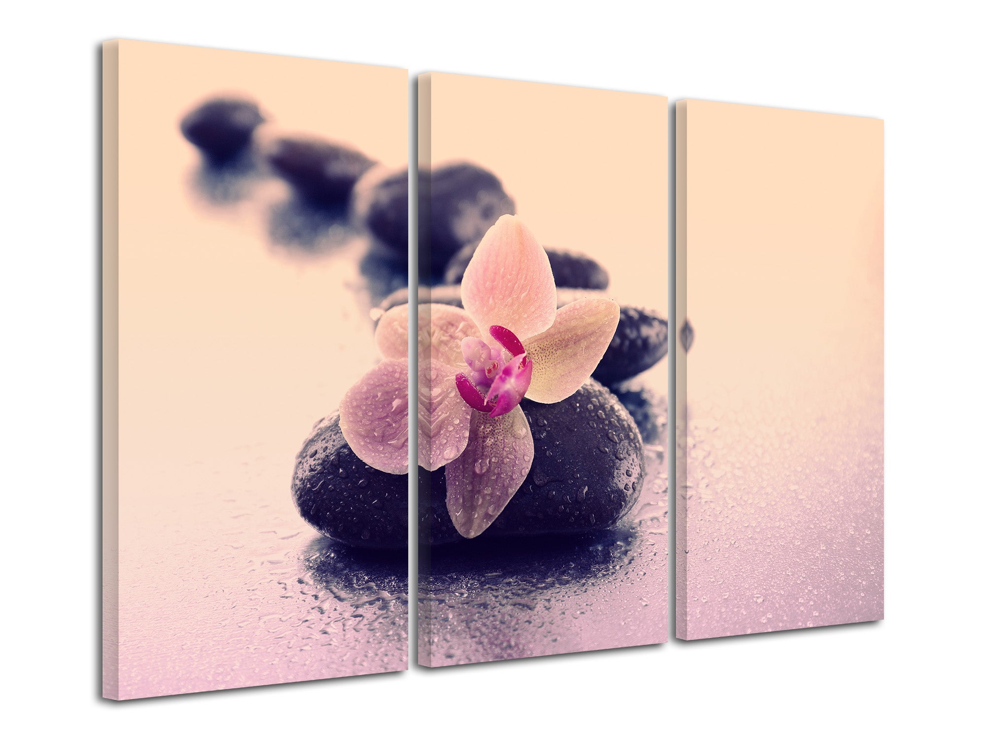 DECLINA, Tableau toile imprimée Zen, Tableau toile triptyque Chemin de ...