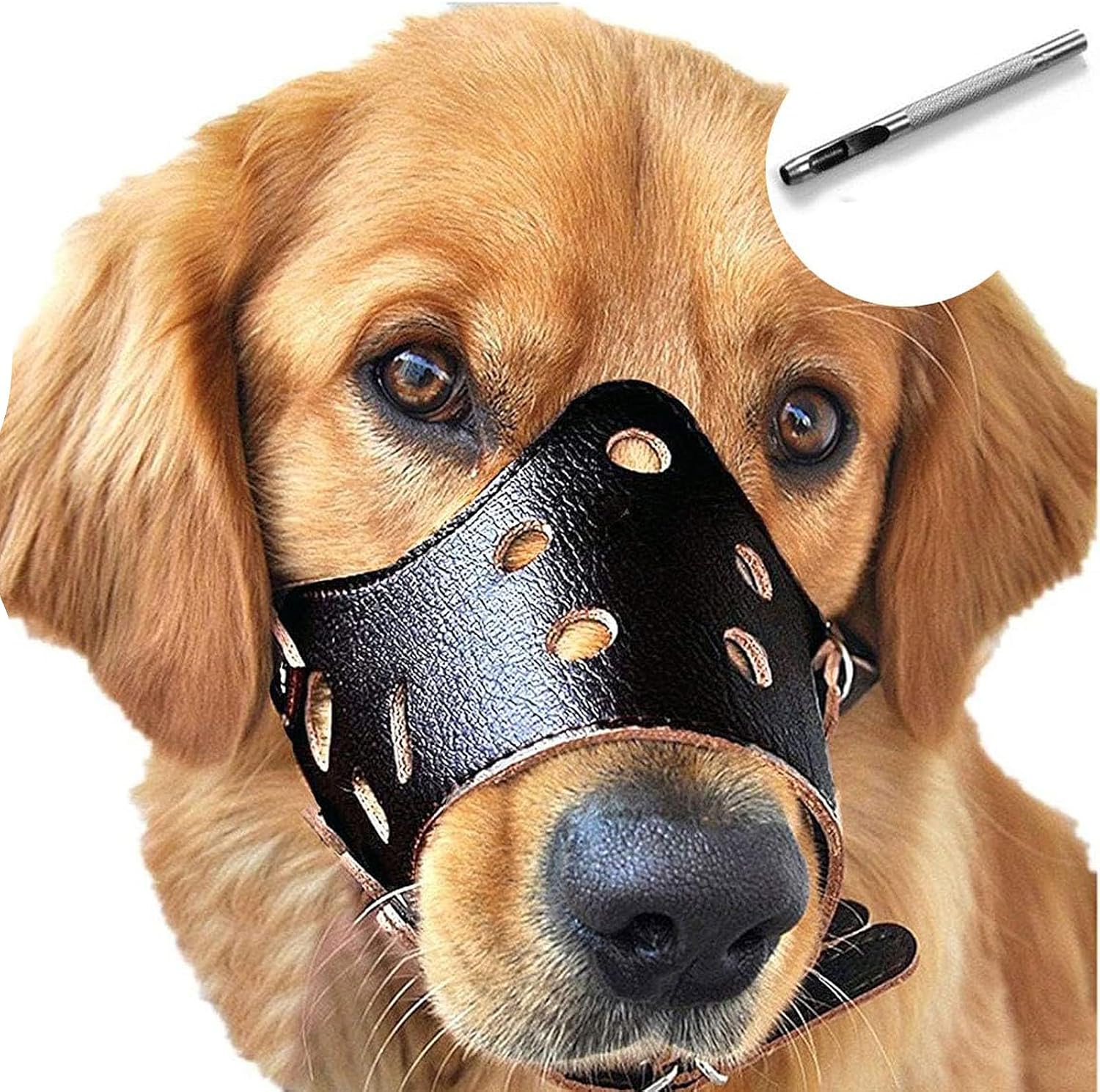 Bozal de cuero para perros, adecuado para perros grandes, pequeños y ...
