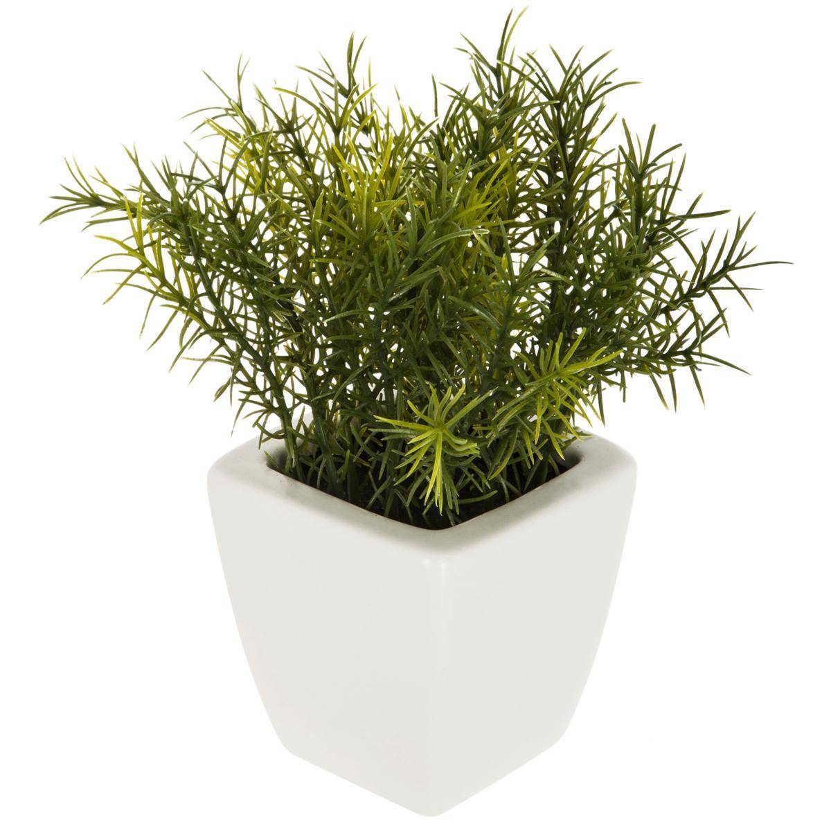 Atmosphera - Planta artificial - maceta de cerámica - H16 cm - Modelo 3 | Leroy Merlin