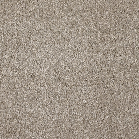 Moquette chambre - Lumicolor - Marron tendre - Rouleau de 4m x 10m ...