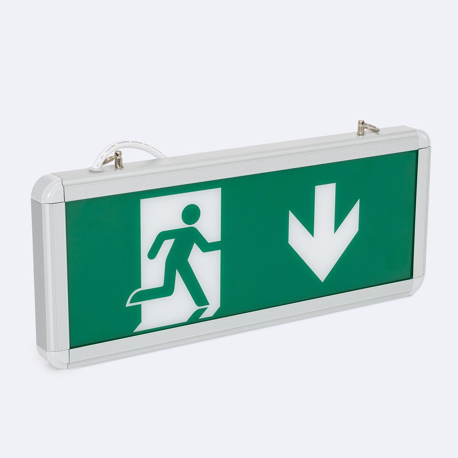 Éclairage de Secours LED Suspendu 60 lm Permanent avec Panneau Double ...