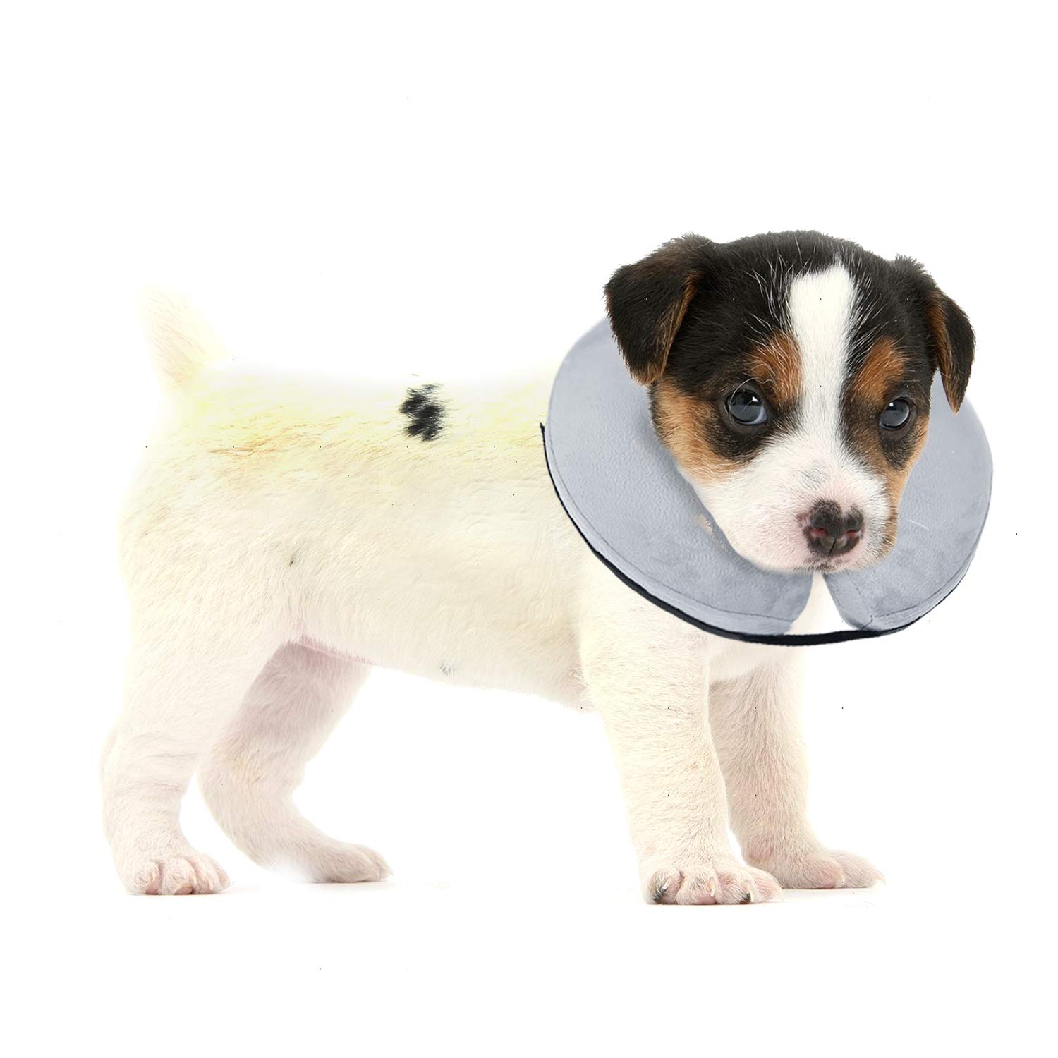 BENCMATE Collar inflable protector para perros y gatos – recuperación ...