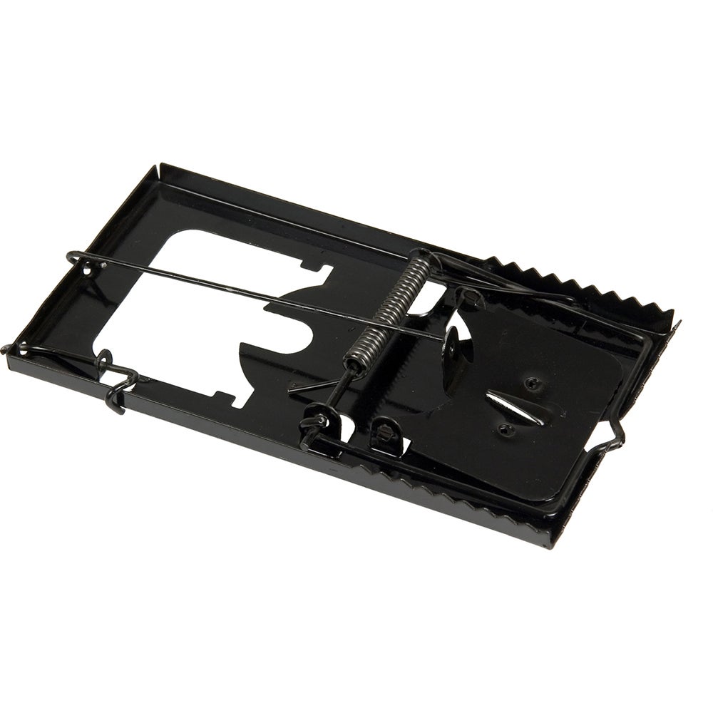 Ratonera metal - 120x60 mm | Leroy Merlin