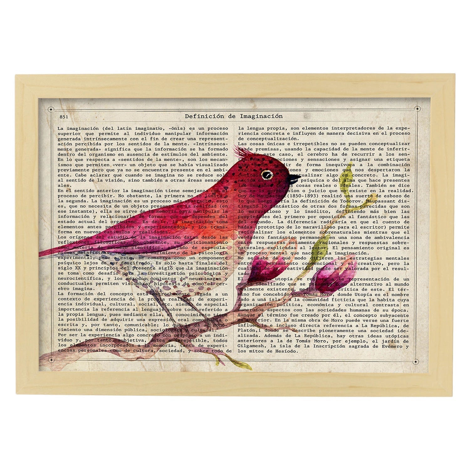 Affiche Rapsberry Bird Avec Définition. Feuilles D'animaux Avec Texte ...