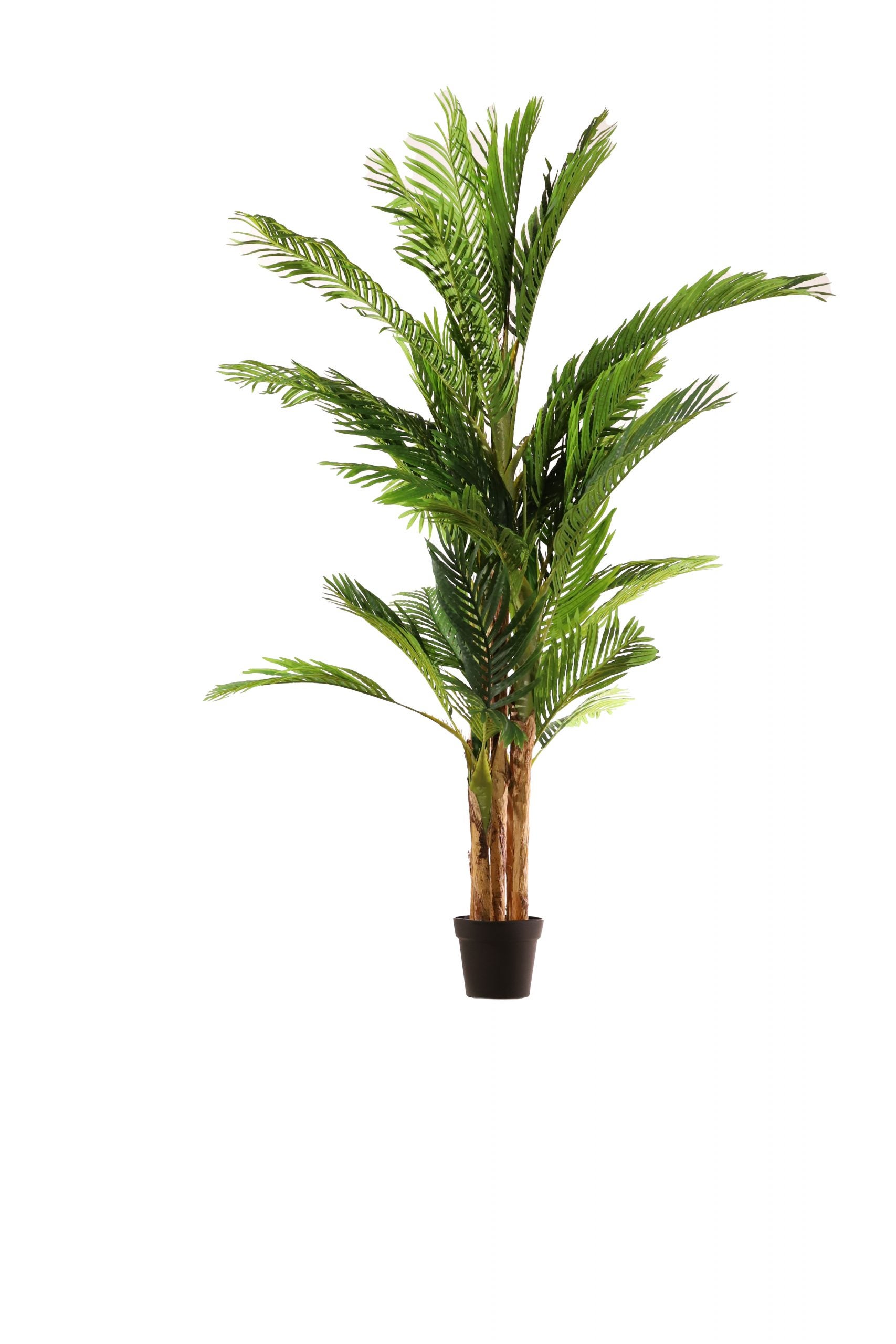 Pianta artificiale Palma 189cm | Naturing Monde - Interno - Tronco ...