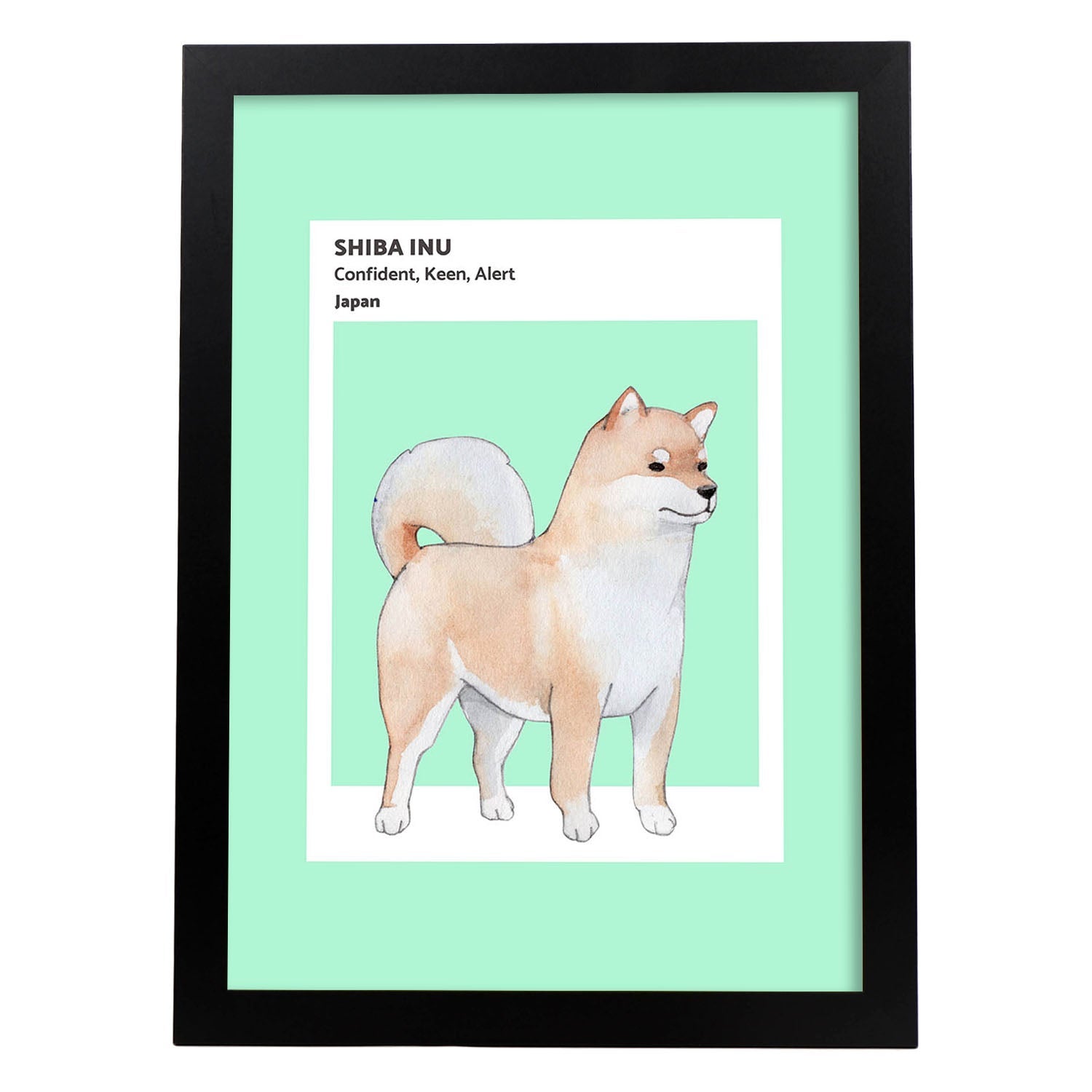 Lamina Shiba-inu. Pósteres Con Ilustraciones De Razas De Perro En Tonos ...