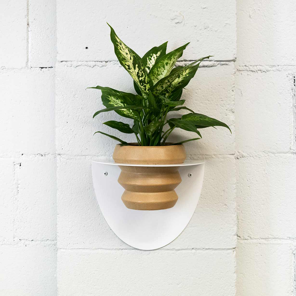 Kion Home - Macetero Metálico Para Pared Andalucía | Acero | Diámetro ...