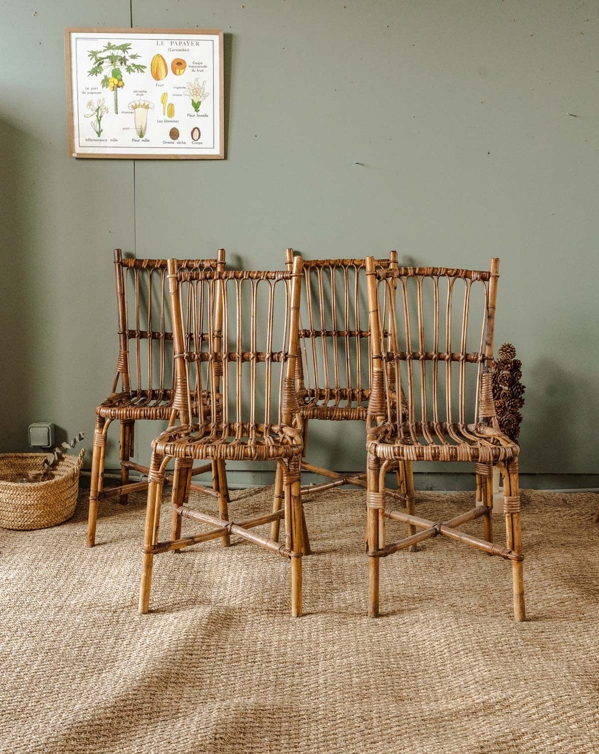Lot de 4 chaises en rotin Claude N°899 - Bon état | Leroy Merlin