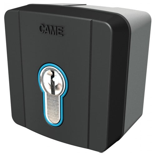 Exterior key switch with cylinder lock DIN Came SELD1FDG | Leroy Merlin